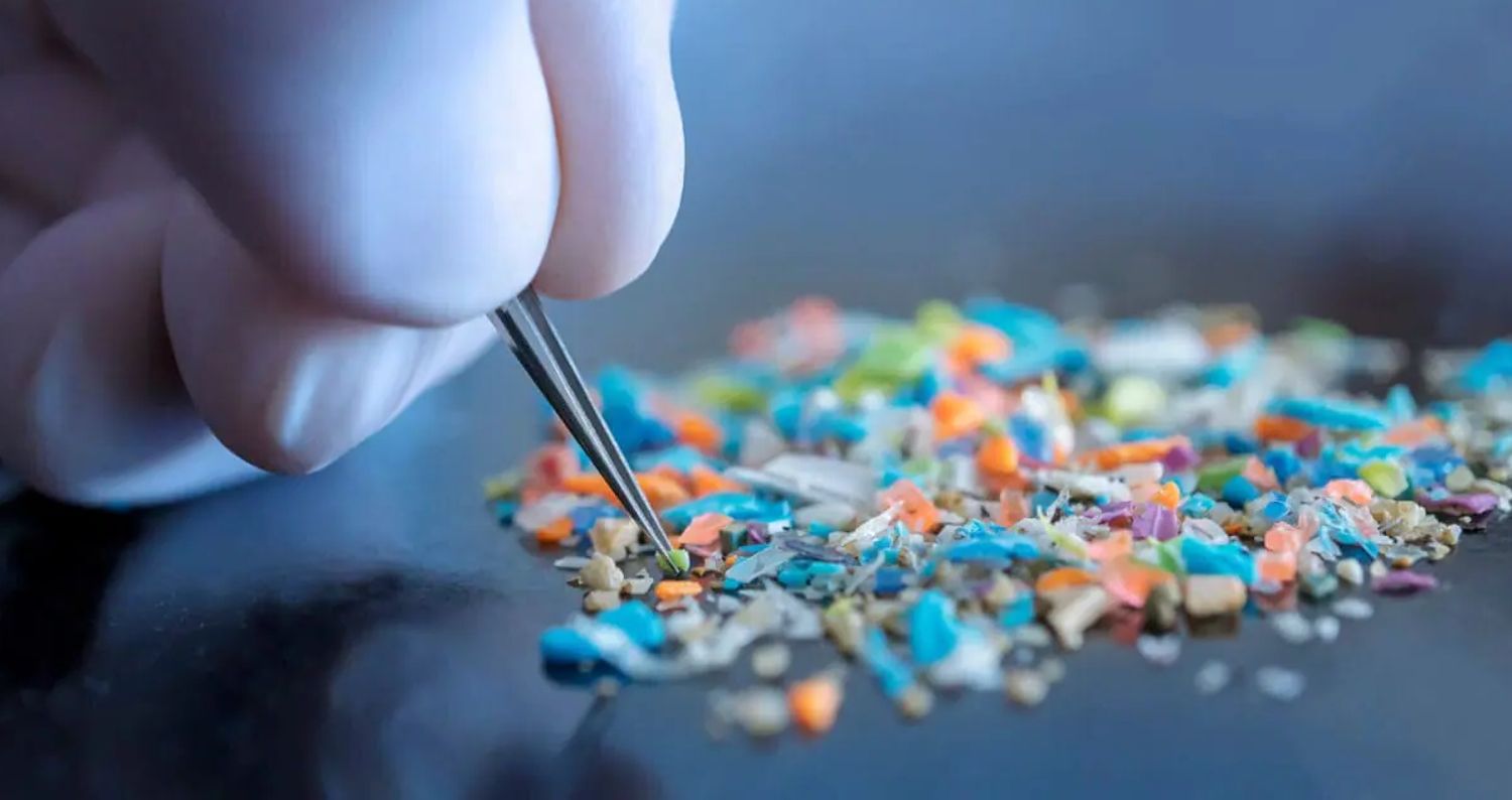 New study adds to growing evidence that microplastics promote cardiova ...