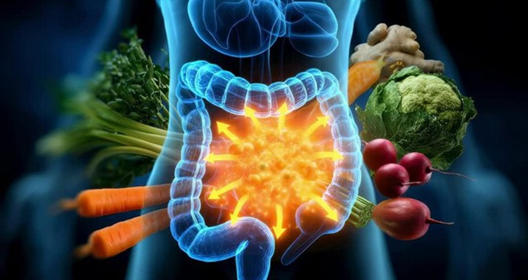 How to Optimize Nutrient Absorption | Douglas D. Grant – Optimal Health ...