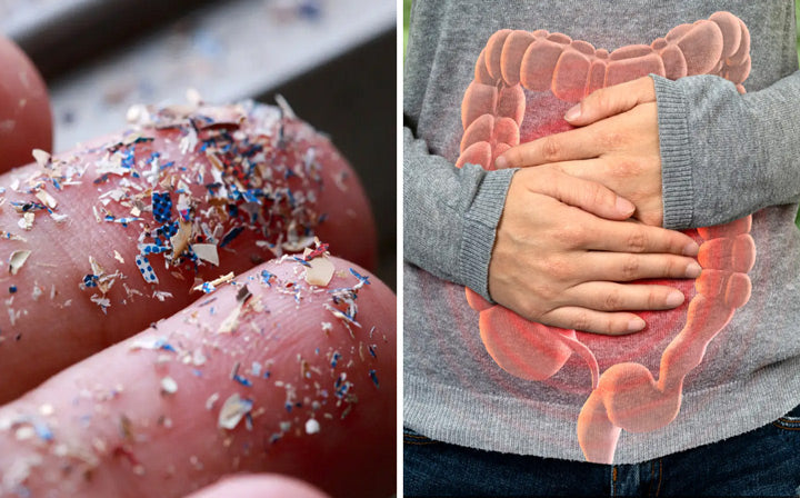 New Study: Probiotics Help Reduce Gut Toxicity from Microplastics ...