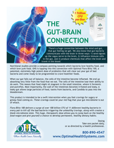 Flora Blitz 100, 31 paks - Reprogramming Cravings - Probiotics - High CFU | Optimal Health Systems